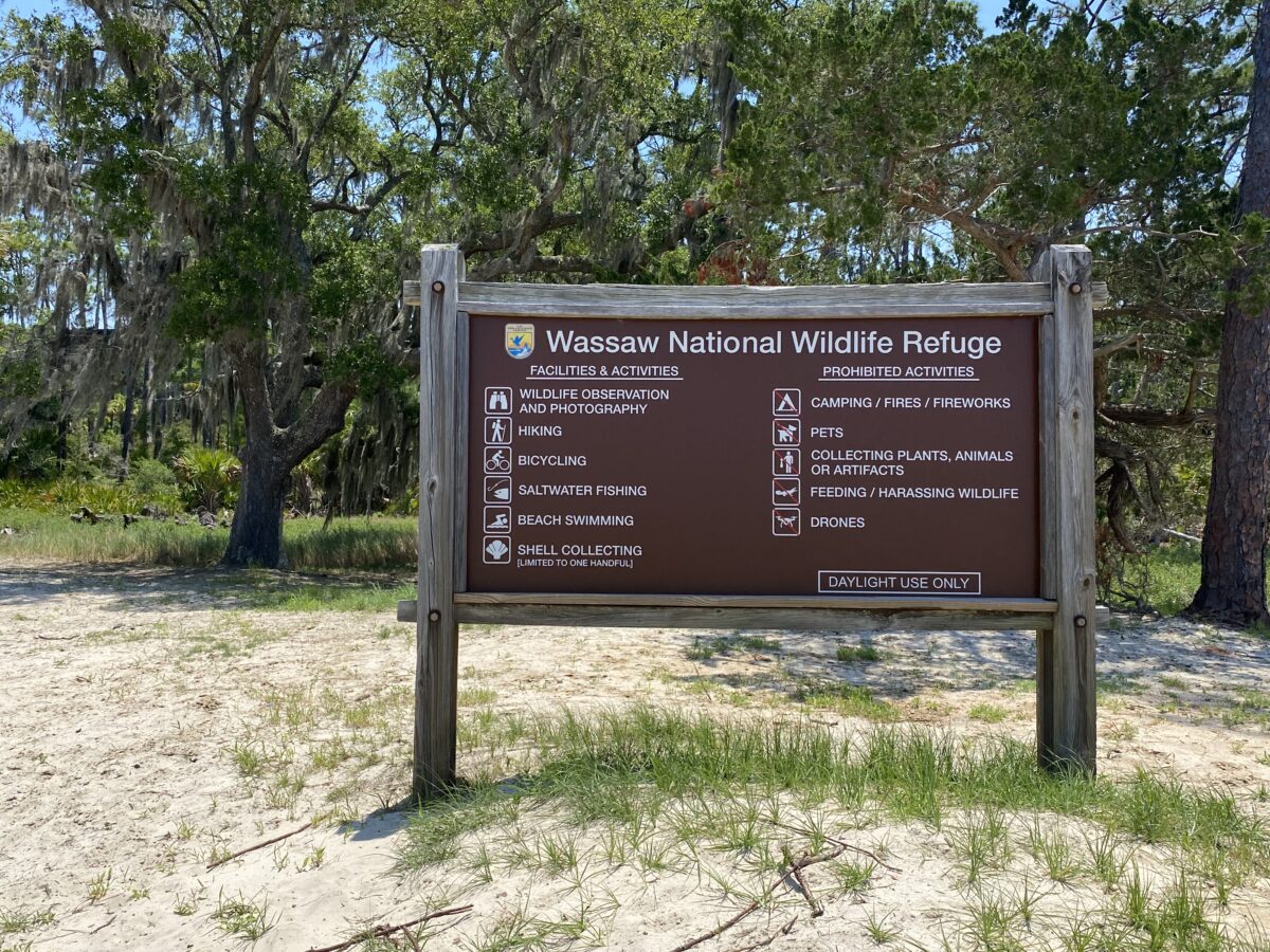 Explore Wassaw Island: A Scenic Adventure by Boat