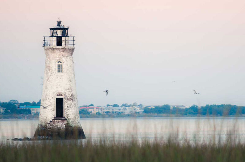 Explore Wassaw Island: A Scenic Adventure by Boat